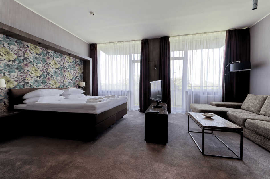 Studijos su balkonu Druskininkuose | SPA VILNIUS